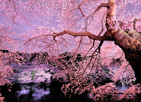 IDEE PER VIAGGIARE in Giappone Offerte Viaggi e Vacanze in Giappone